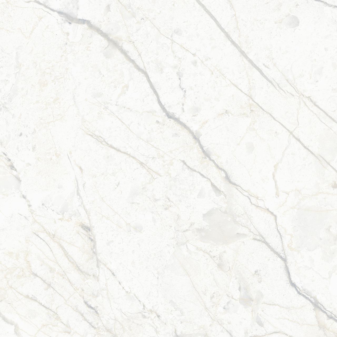 TESLA BIANCO POLISHED - Roman Tiles